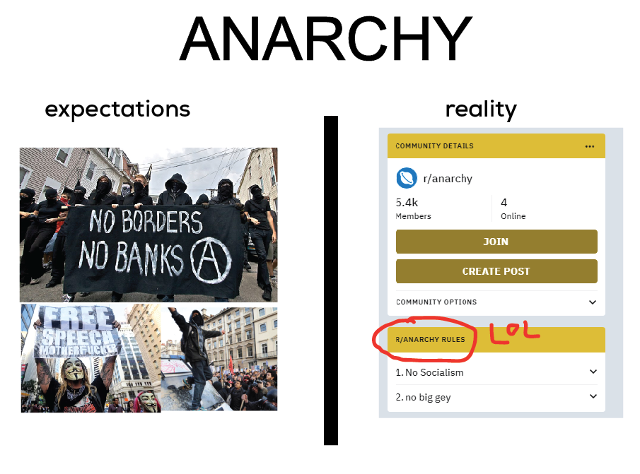 Anarchy: Expectations vs Reality | Scrolller