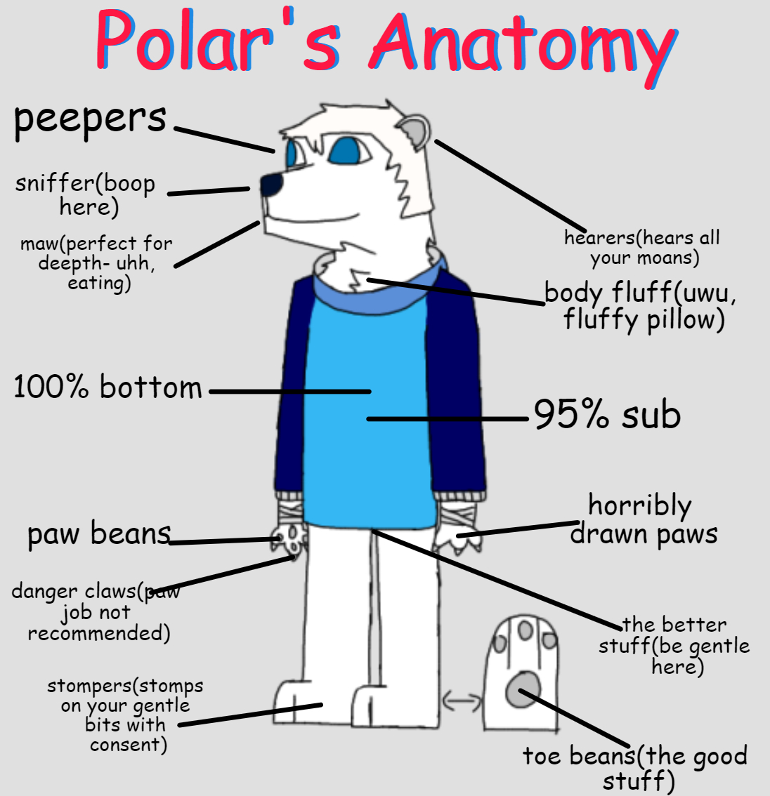 Anatomy Irl Scrolller