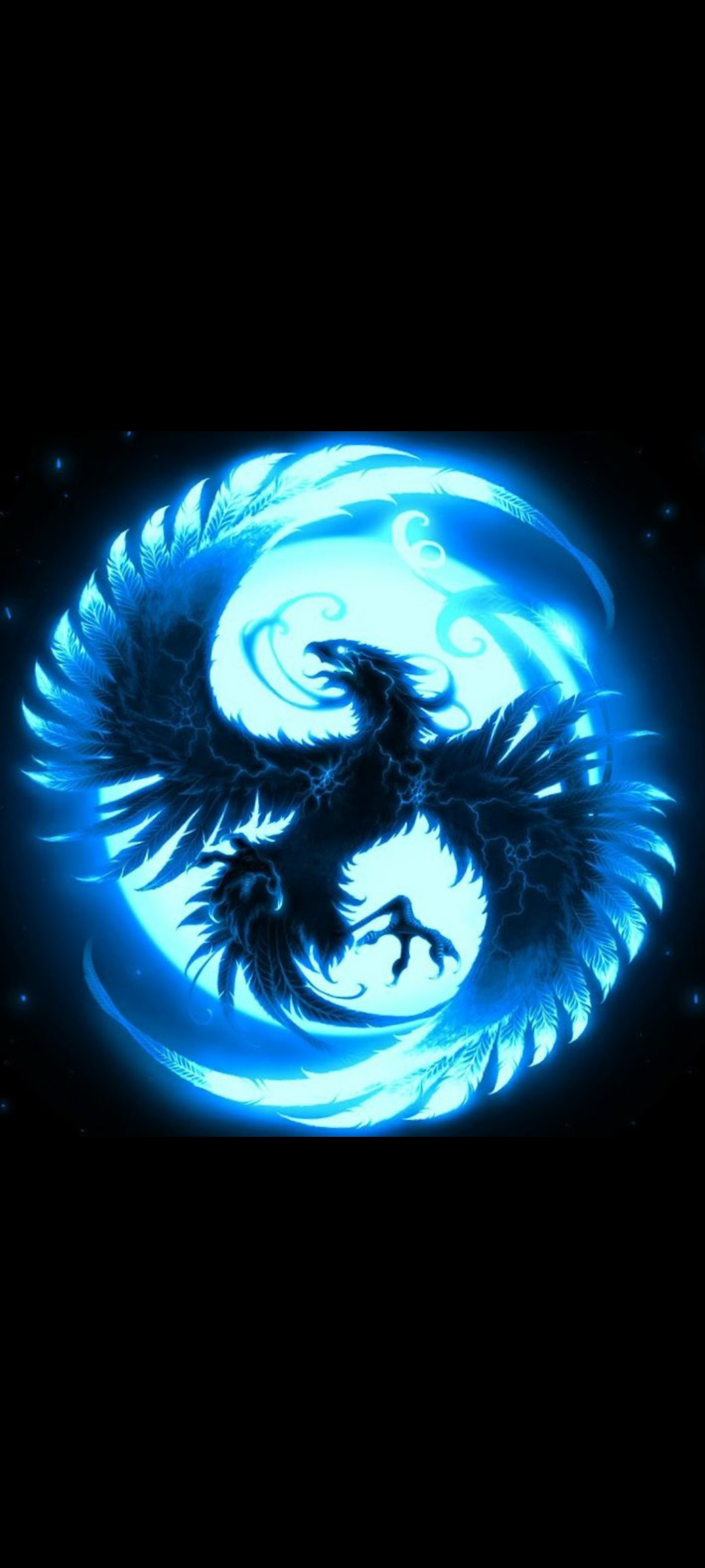 And here I am. | Scrolller