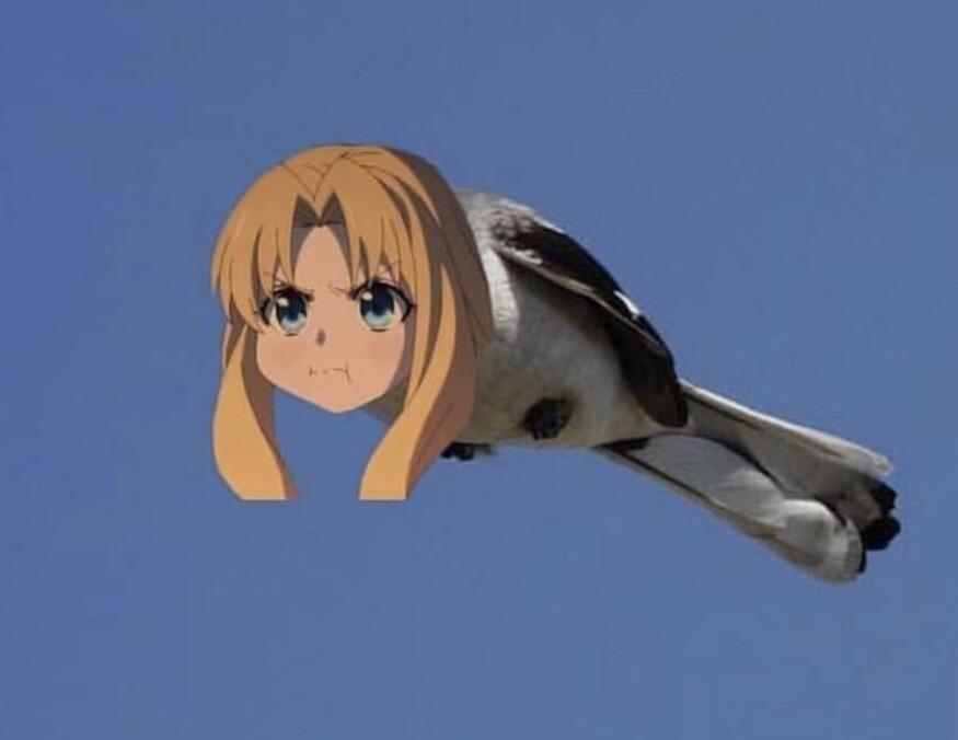 Angry af | Scrolller