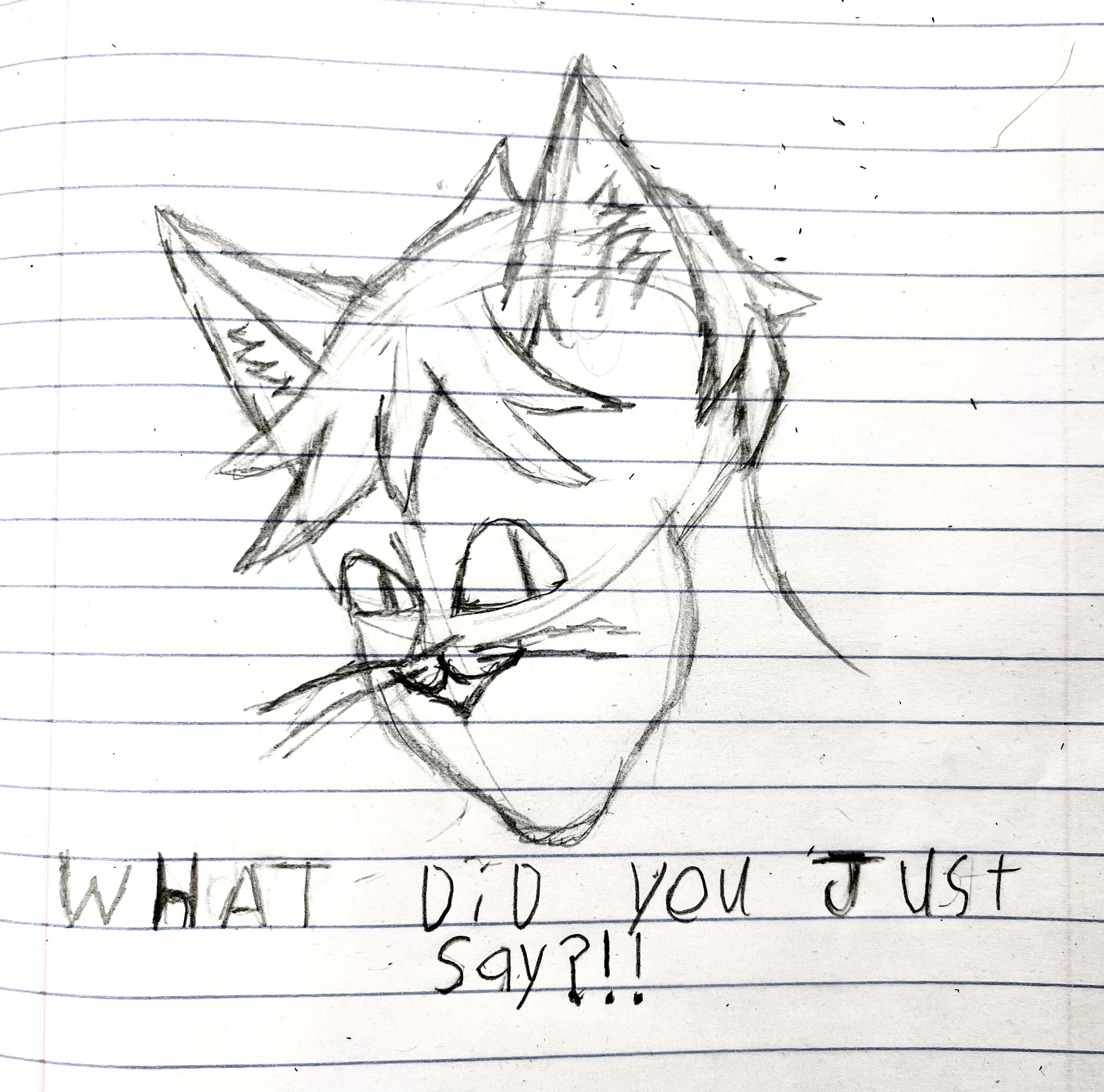 Angry_irl | Scrolller