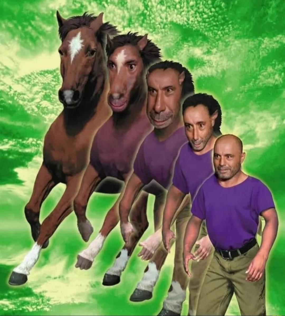 Animorphs | Scrolller
