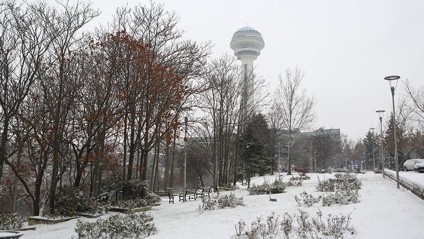 Ankara'nın güzeli | Scrolller