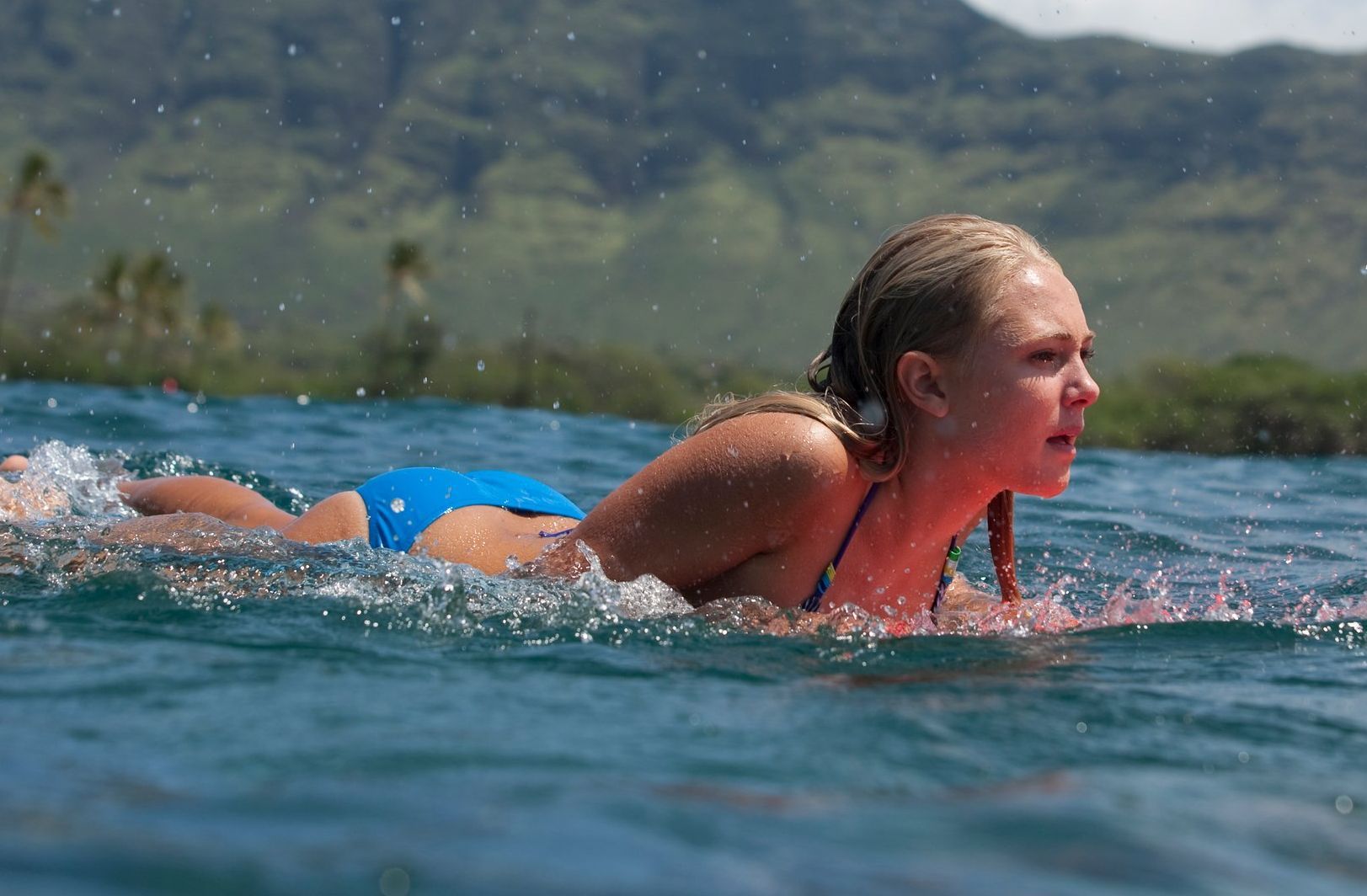 Annasophia Robb on a surfboard. Hhhnnnggg | Scrolller