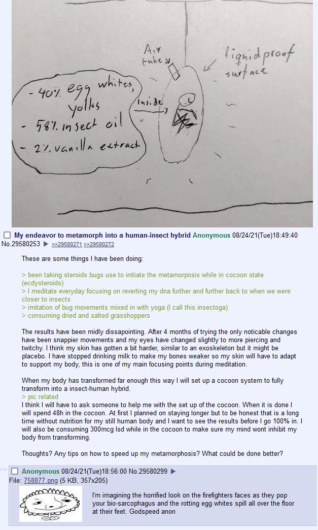 Anon begins his metamorphosis | Scrolller