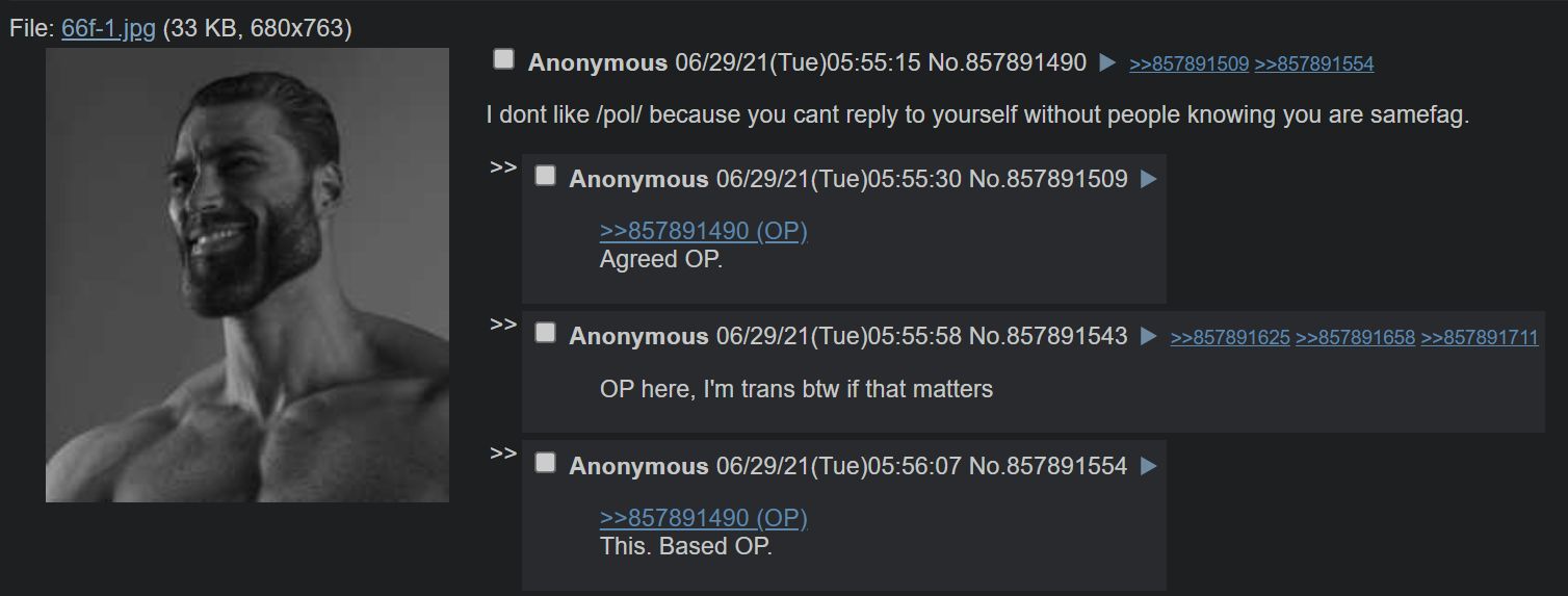 Anon dislikes /pol/ | Scrolller