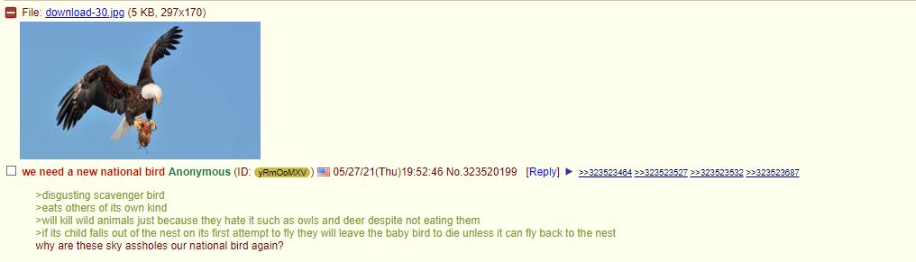 Anon doesn't like bald eagles | Scrolller