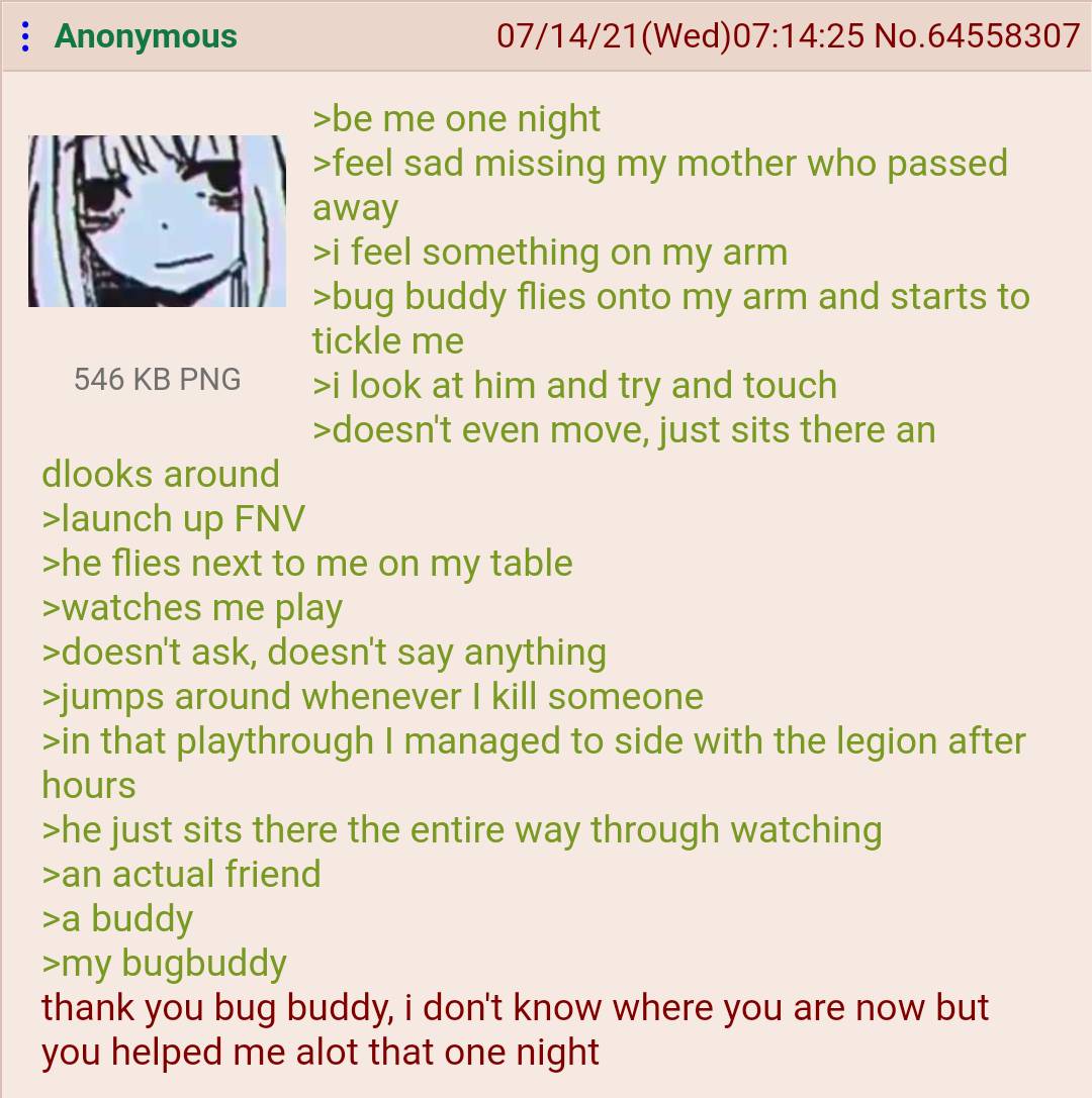 Anon has a bug buddy | Scrolller