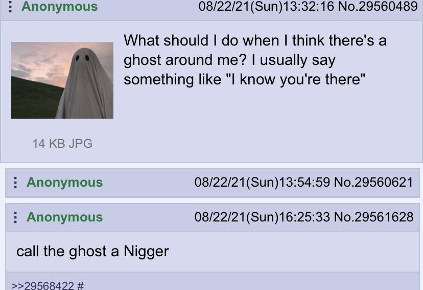 Anon is a ghostbuster | Scrolller
