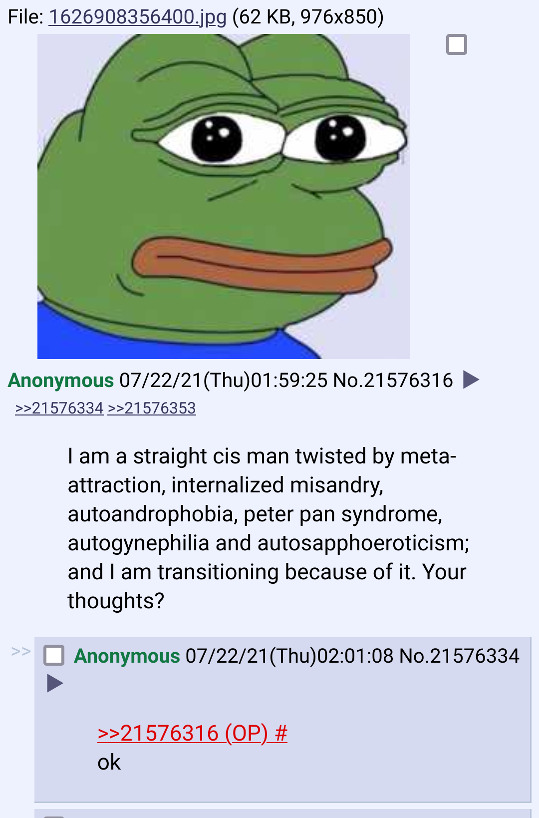 Anon lost her brain in a battle with dysphoria. | Scrolller