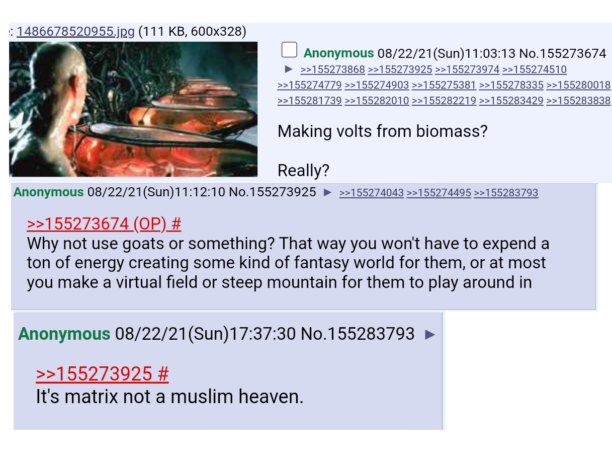 Anon questions the matrix | Scrolller