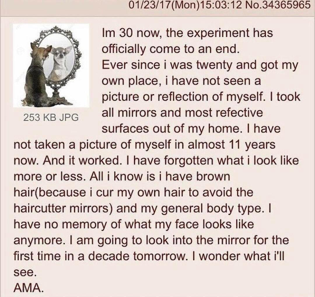 Anon schizo meltdown incoming | Scrolller