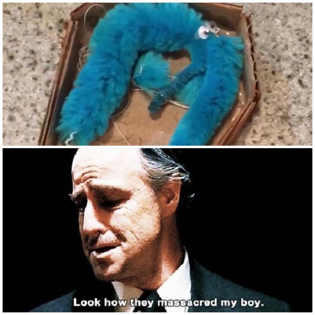 Another meme of Timmy mcwiggle | Scrolller