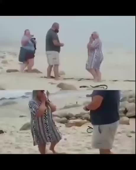 Another POV | Scrolller