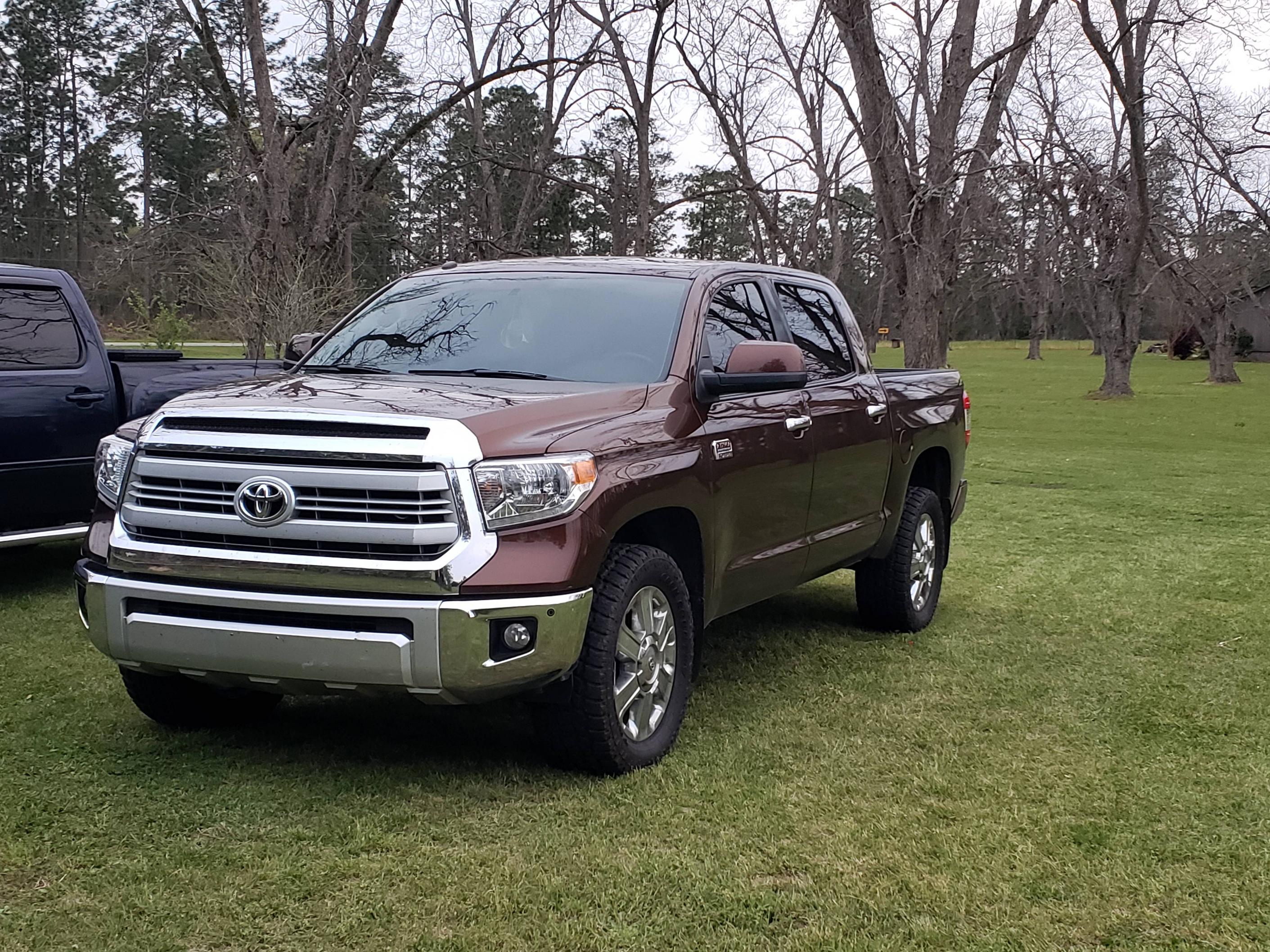 Any love for sunset bronze? | Scrolller