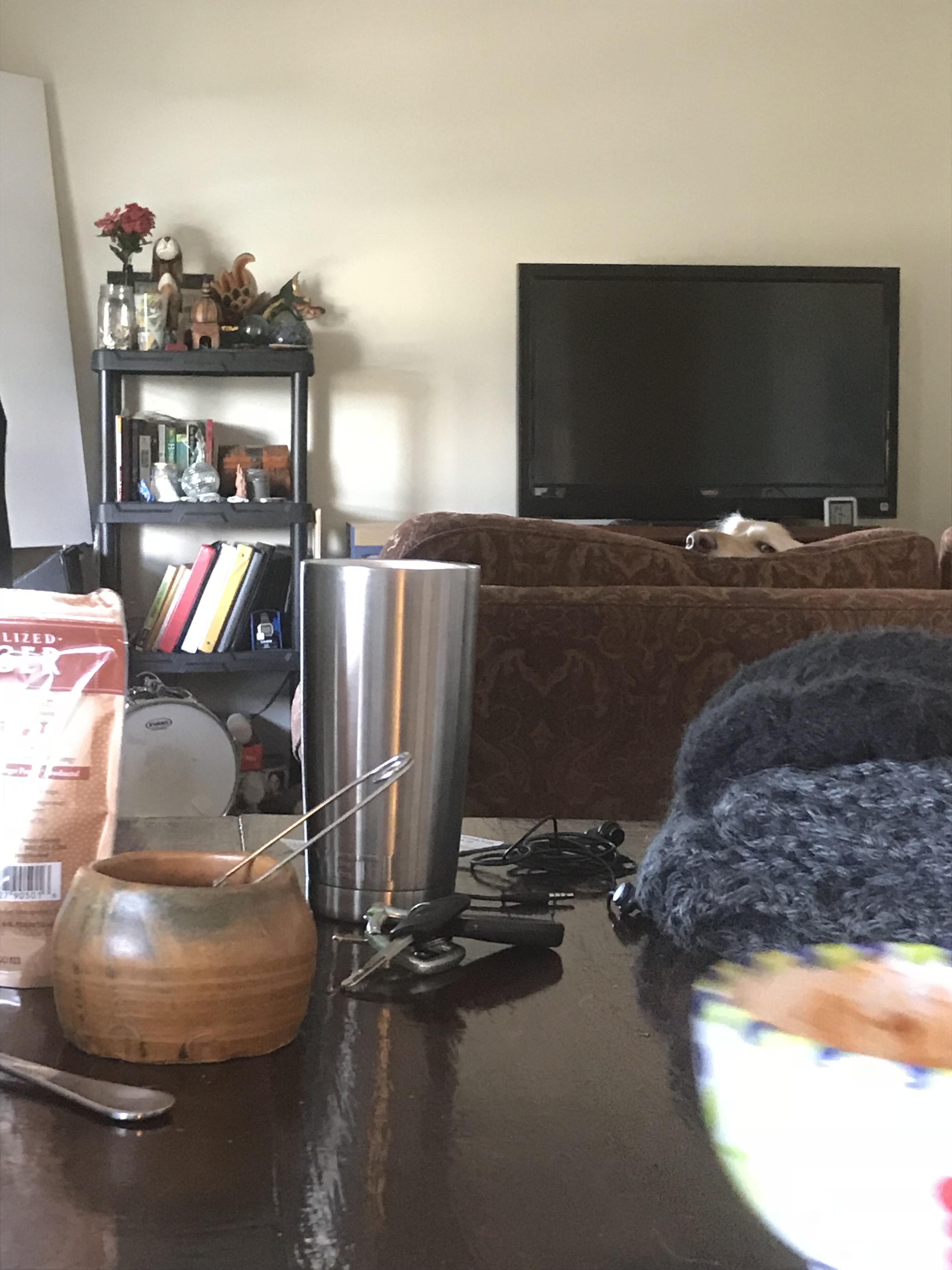 Anytime I'm eating at the table | Scrolller