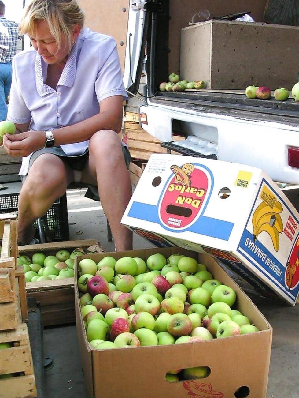 Apples and Panties | Scrolller