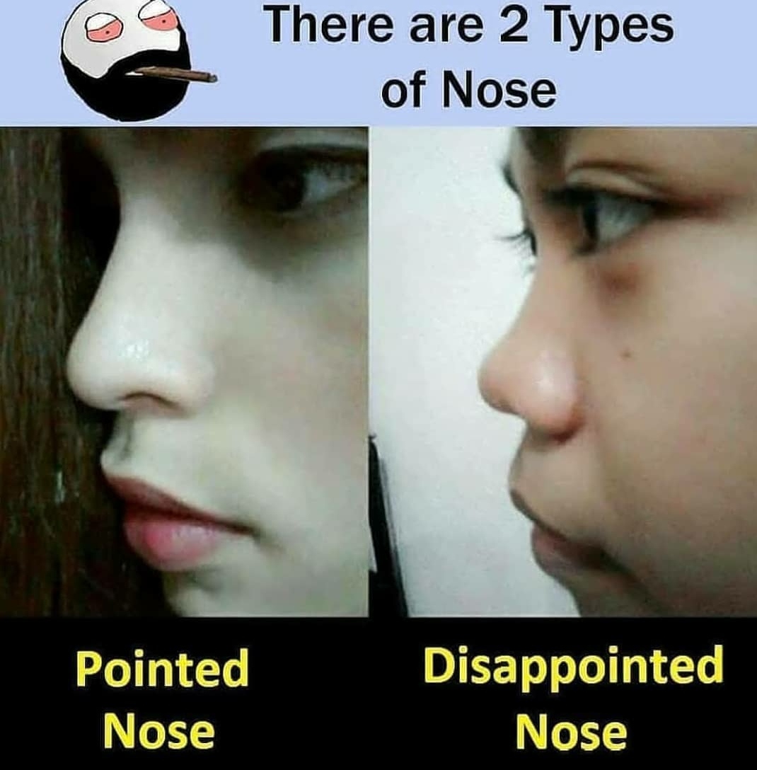 Appointed nose | Scrolller