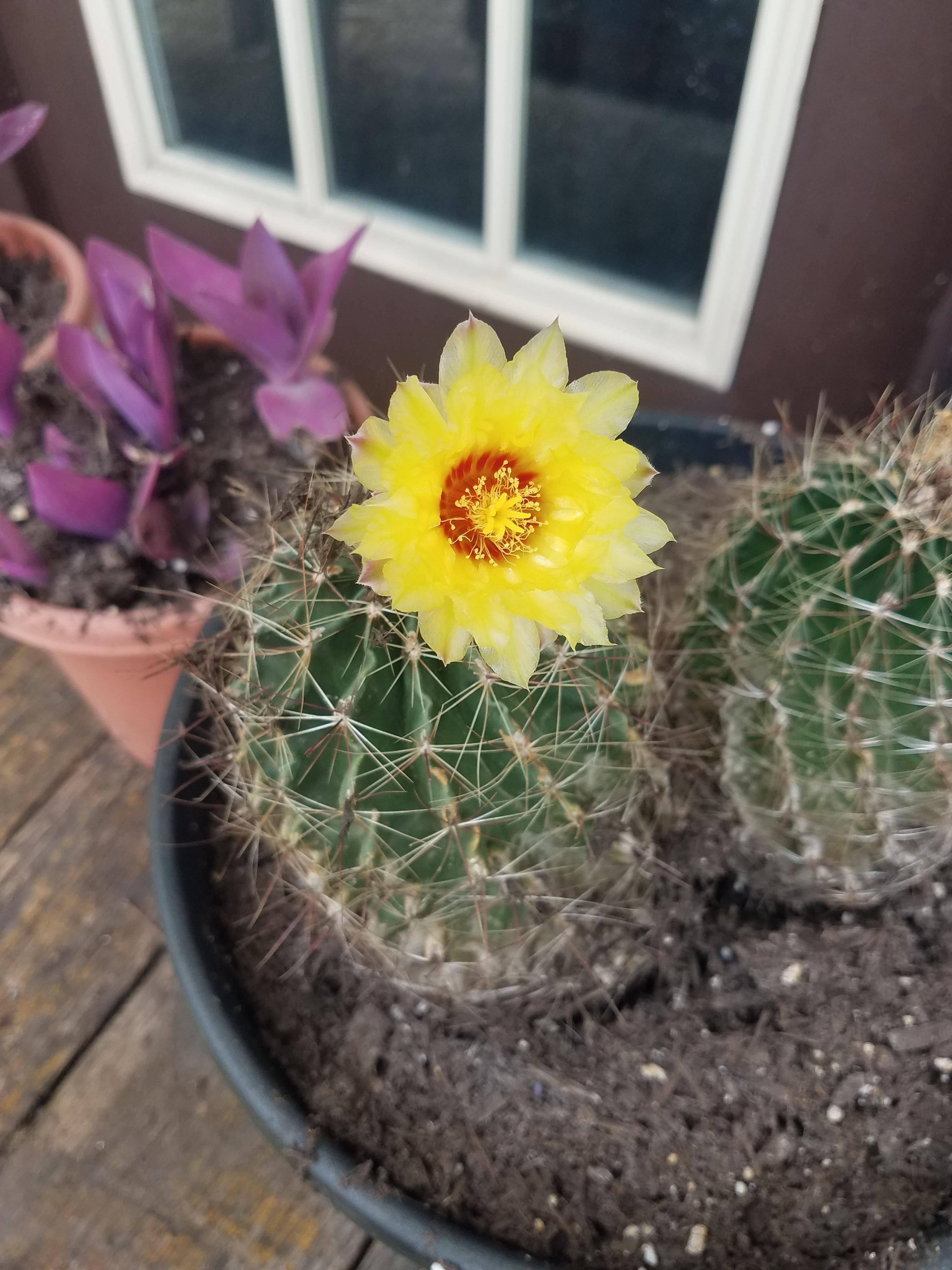 Approval of the new pot | Scrolller