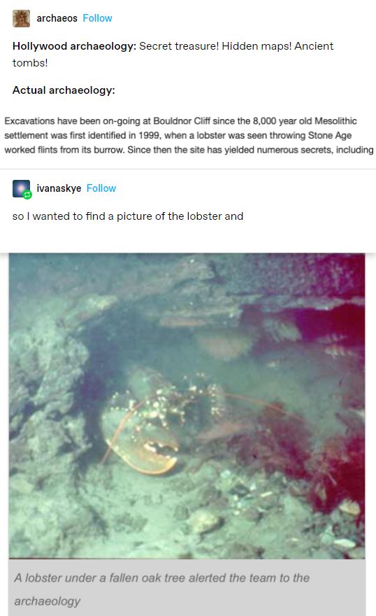 archaeology | Scrolller