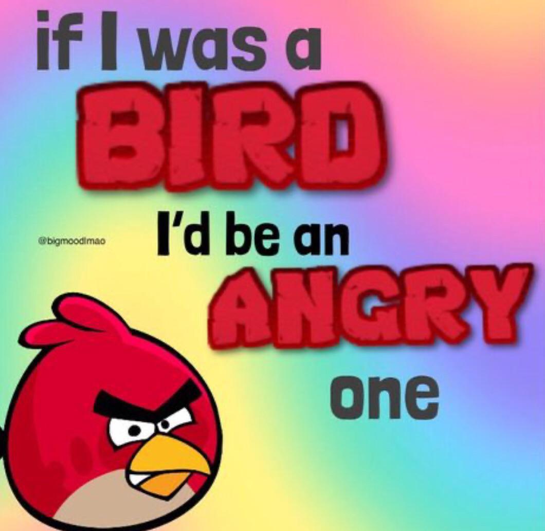 Aries got anger issues | Scrolller