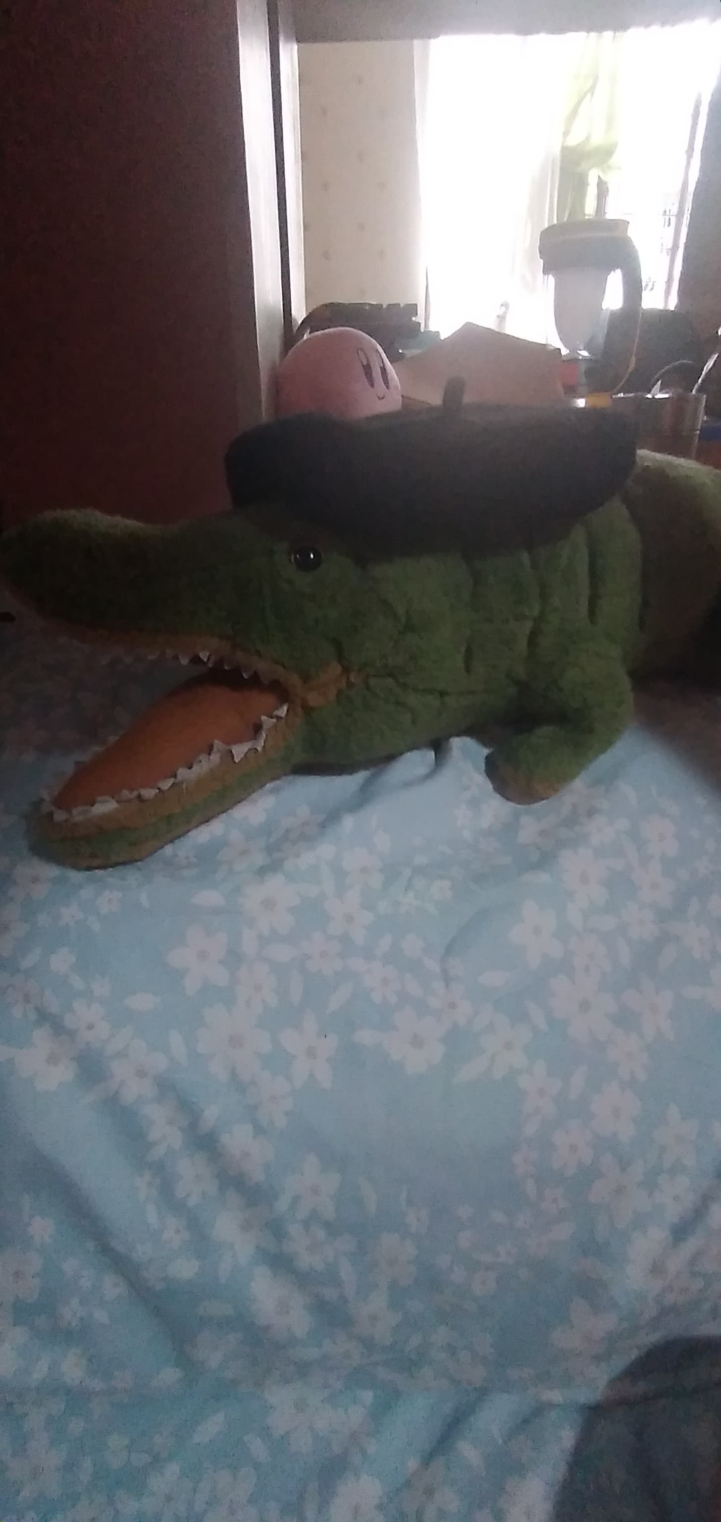 Arty the Alligator! | Scrolller