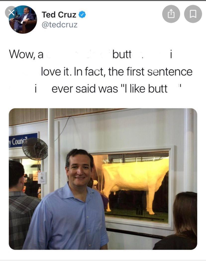 Ted😡😠 | Scrolller