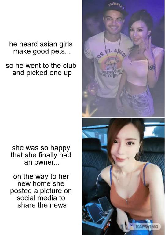 asian girls make good pets | Scrolller