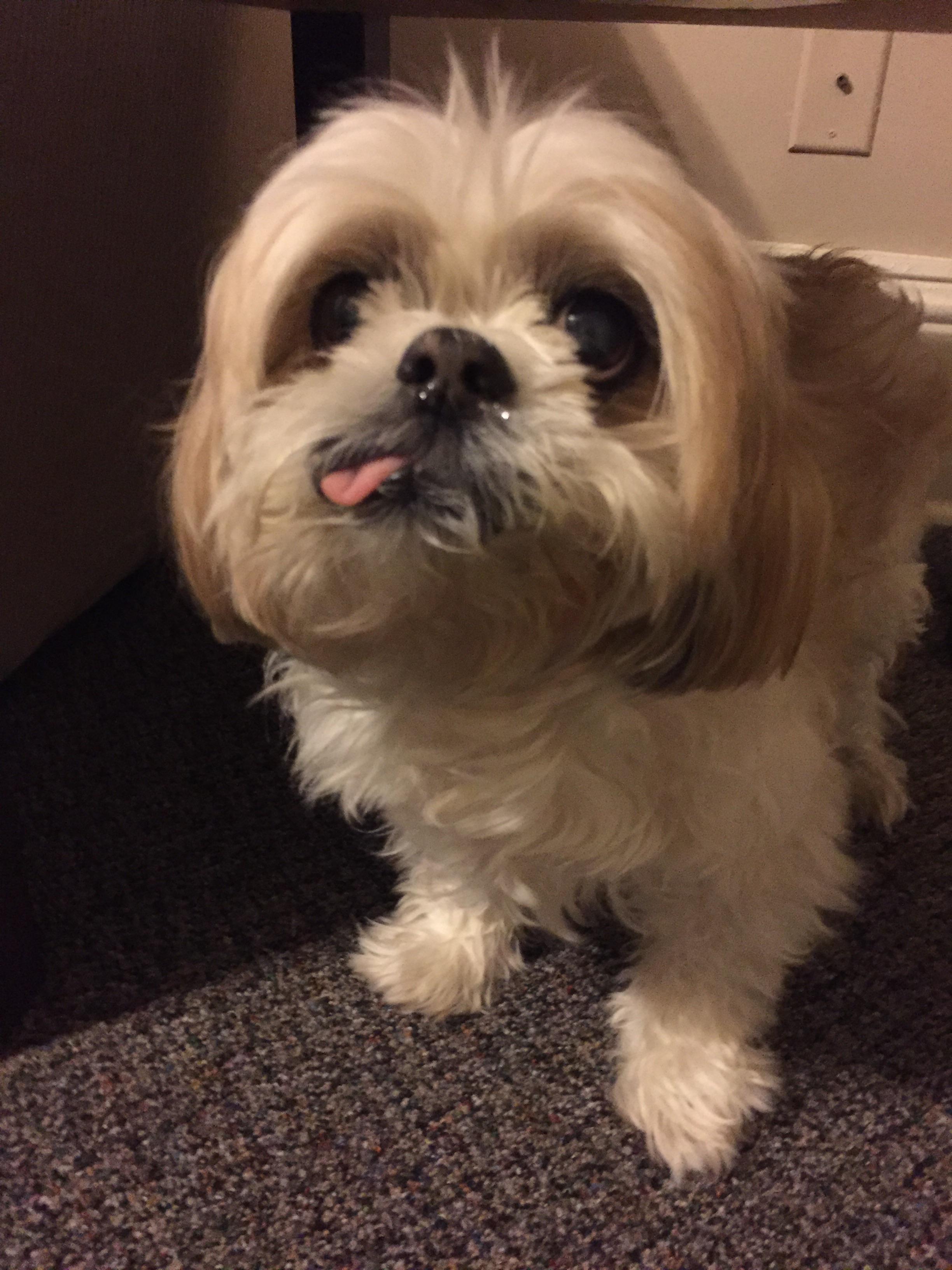 At 14 years old he lost his teeth and I can’t take him seriously ... At 14 years old he lost his teeth and I can’t take him seriously ...