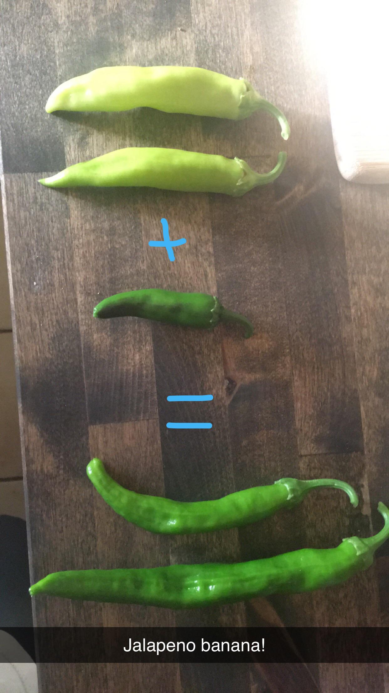 At last my first mutation! Jalapeño and sweet banana crossed. No one on Snapchat cared so I ...
