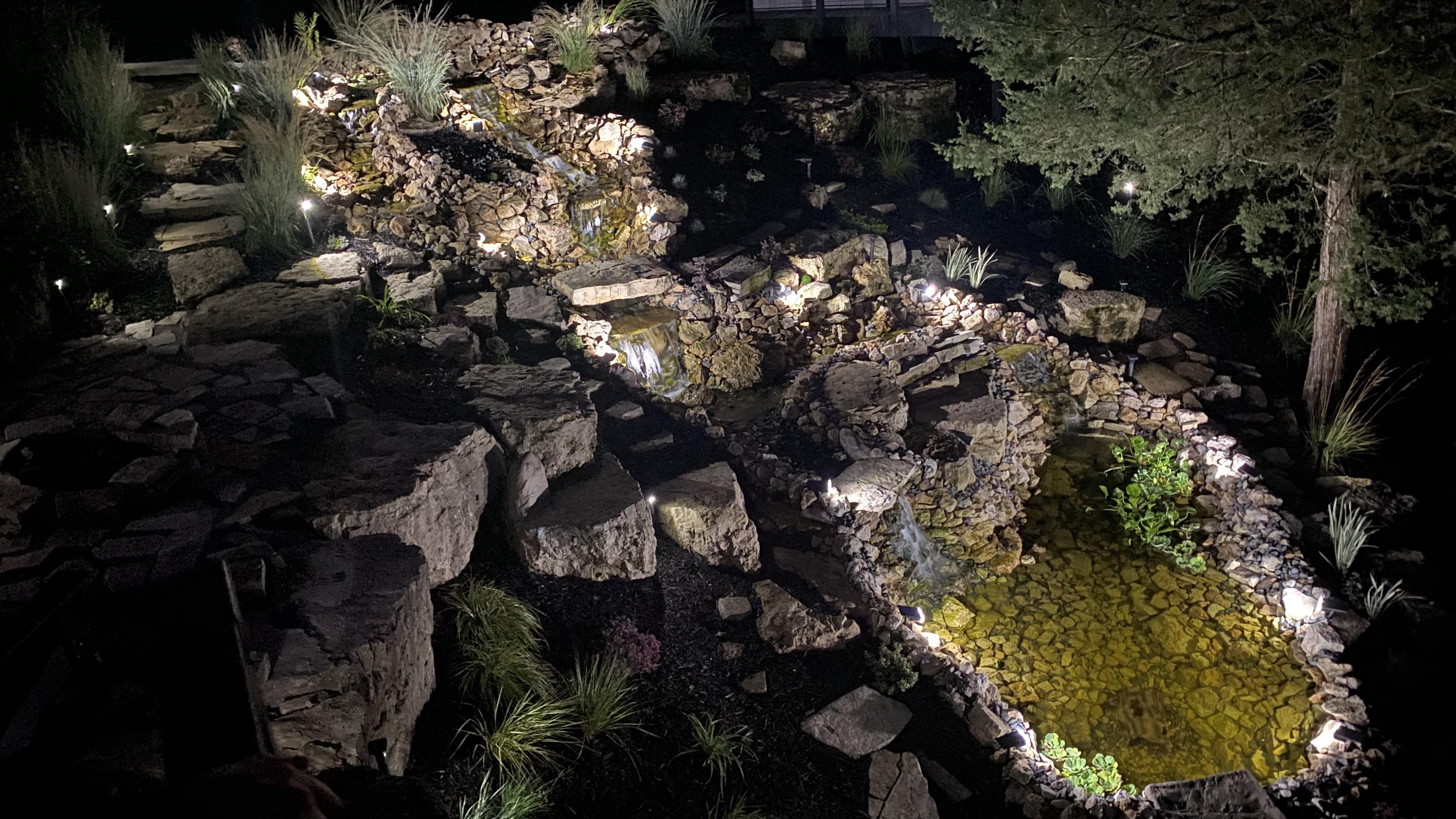 At night the pond becomes the oasis. | Scrolller