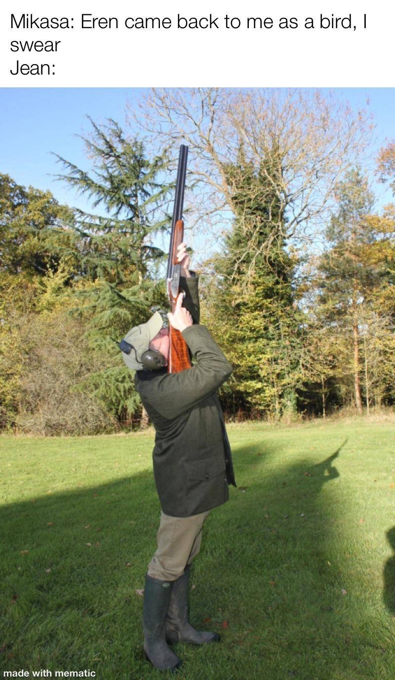 Attack on Bird | Scrolller