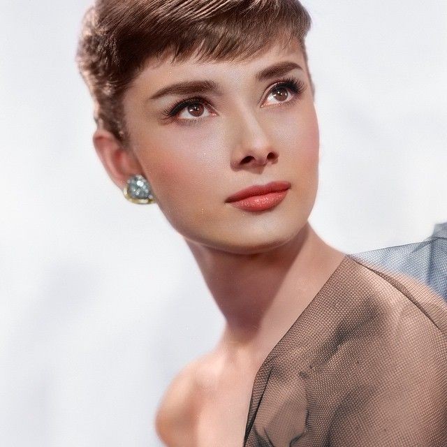 Audrey Hepburn | Scrolller