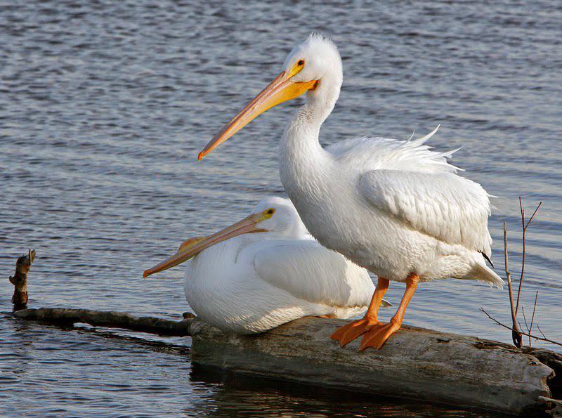 Aunt Cass getting wet | Scrolller