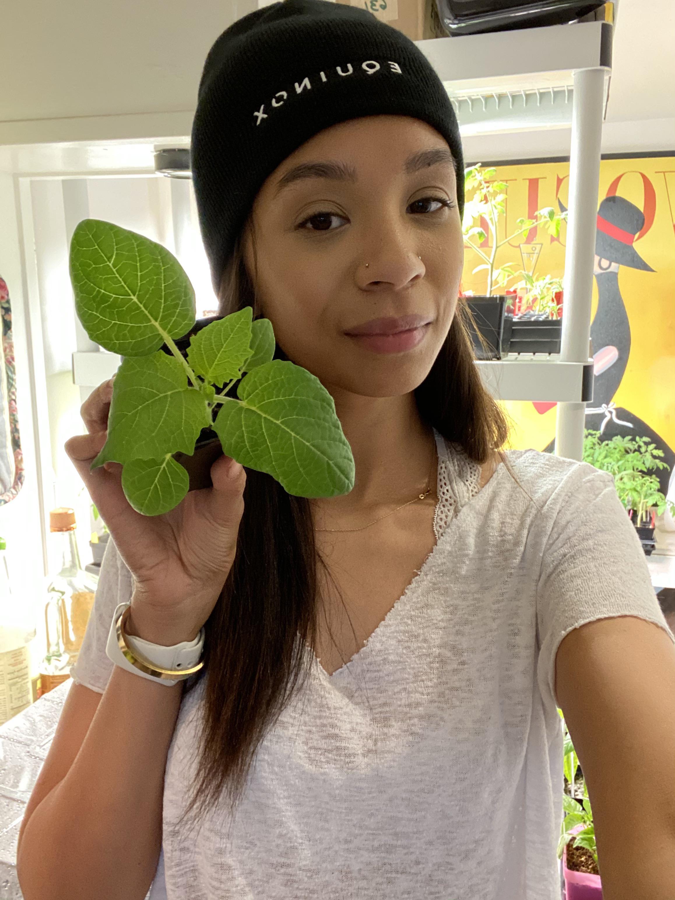 Aunt Molly’s ground cherry. Look at those veins! | Scrolller