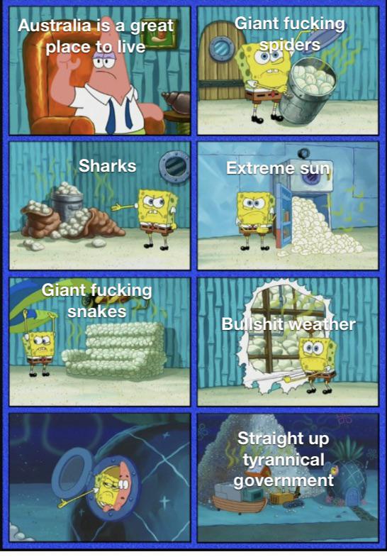 Aussies how y’all doing? | Scrolller