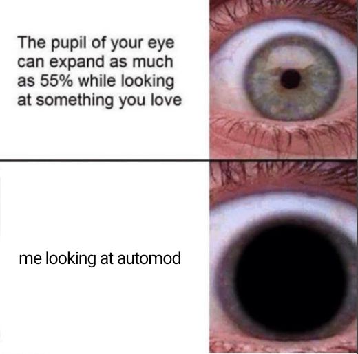 Automod appreciation post | Scrolller