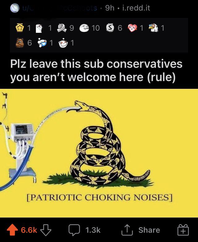 Average r/196 user | Scrolller