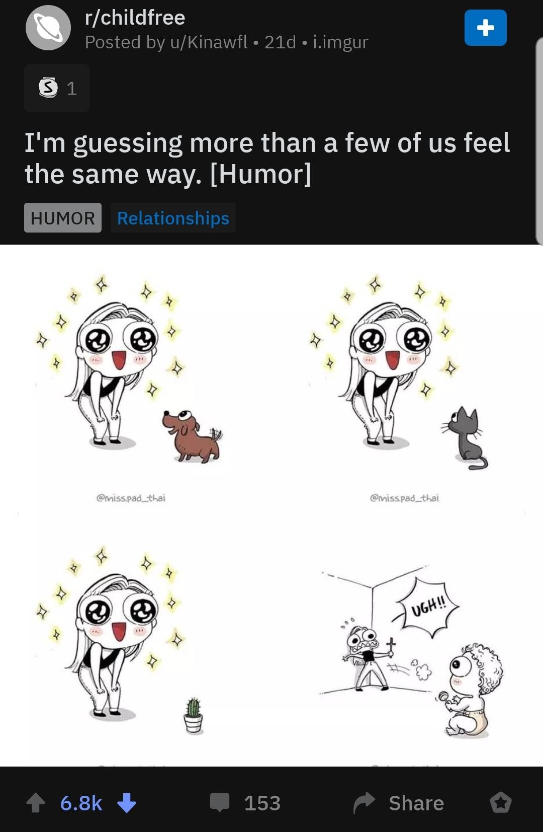 average redditor | Scrolller