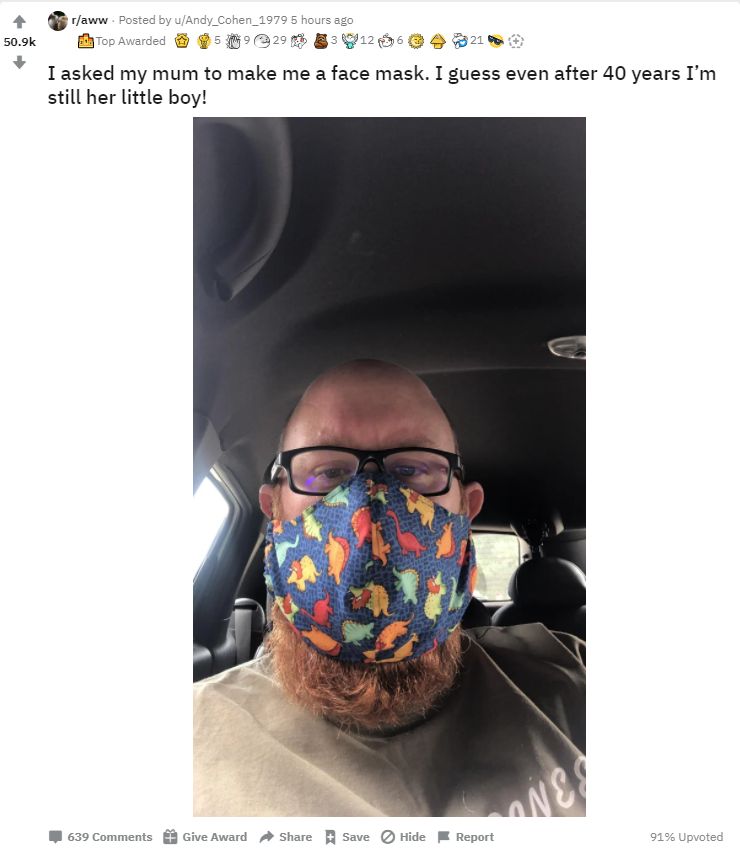 Average Redditor Scrolller 4478