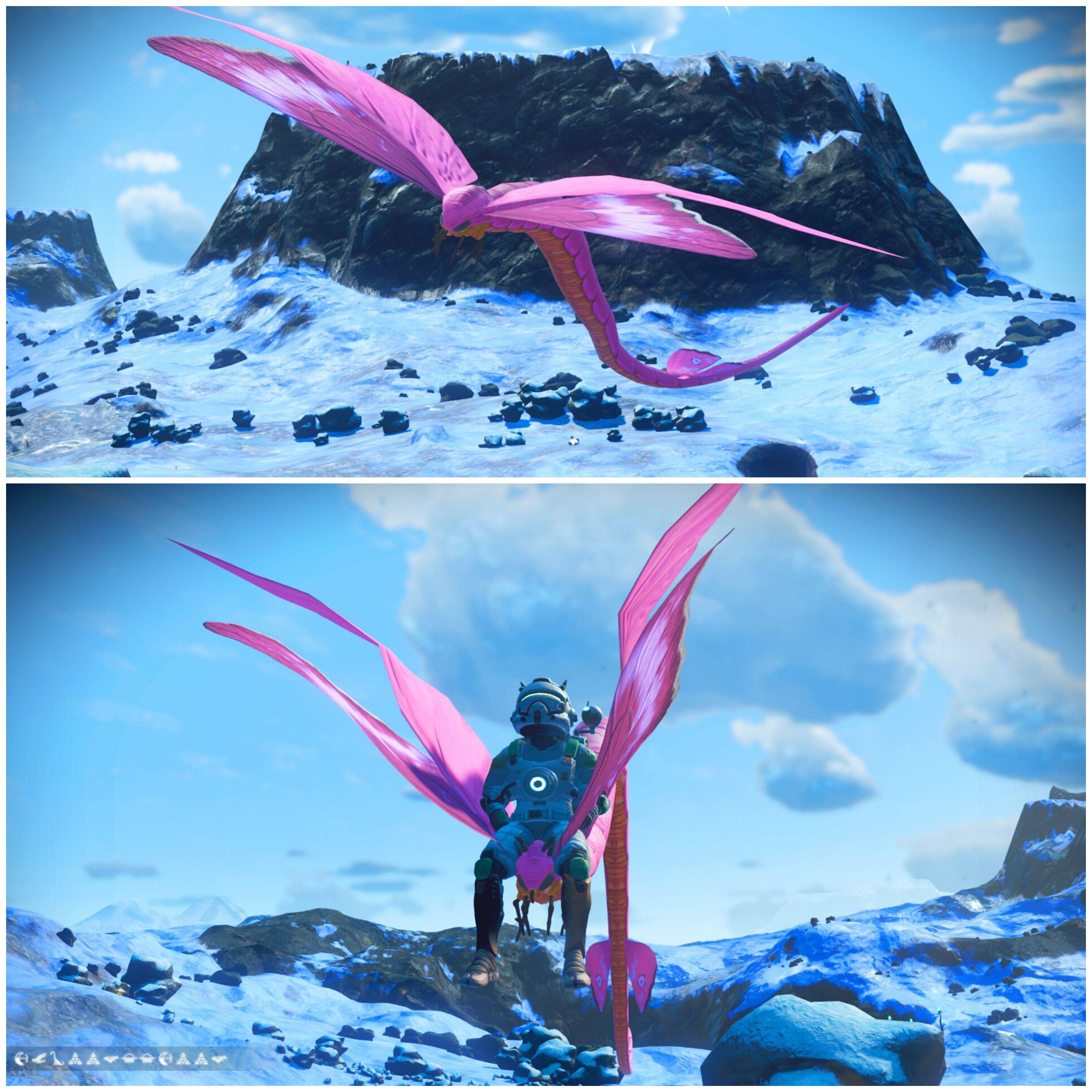 Awesome winged serpent! | Scrolller