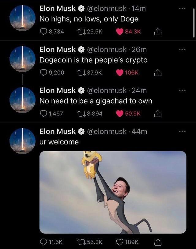 Ayo WTF, Surya bhai profit 50-50😳 | Scrolller