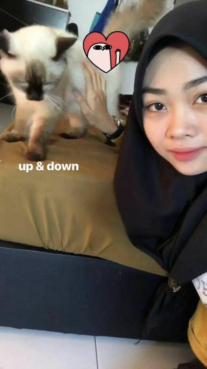 Ayuni🙇🏻 Scrolller