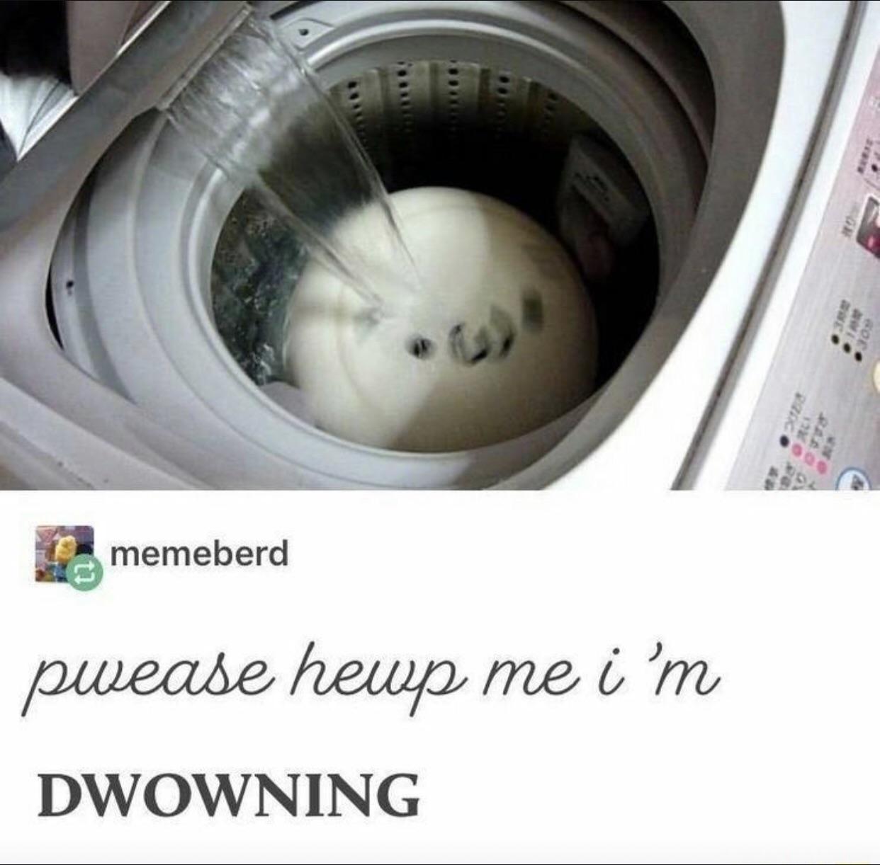 B-ban me daddy uwu 🥺🥺 | Scrolller