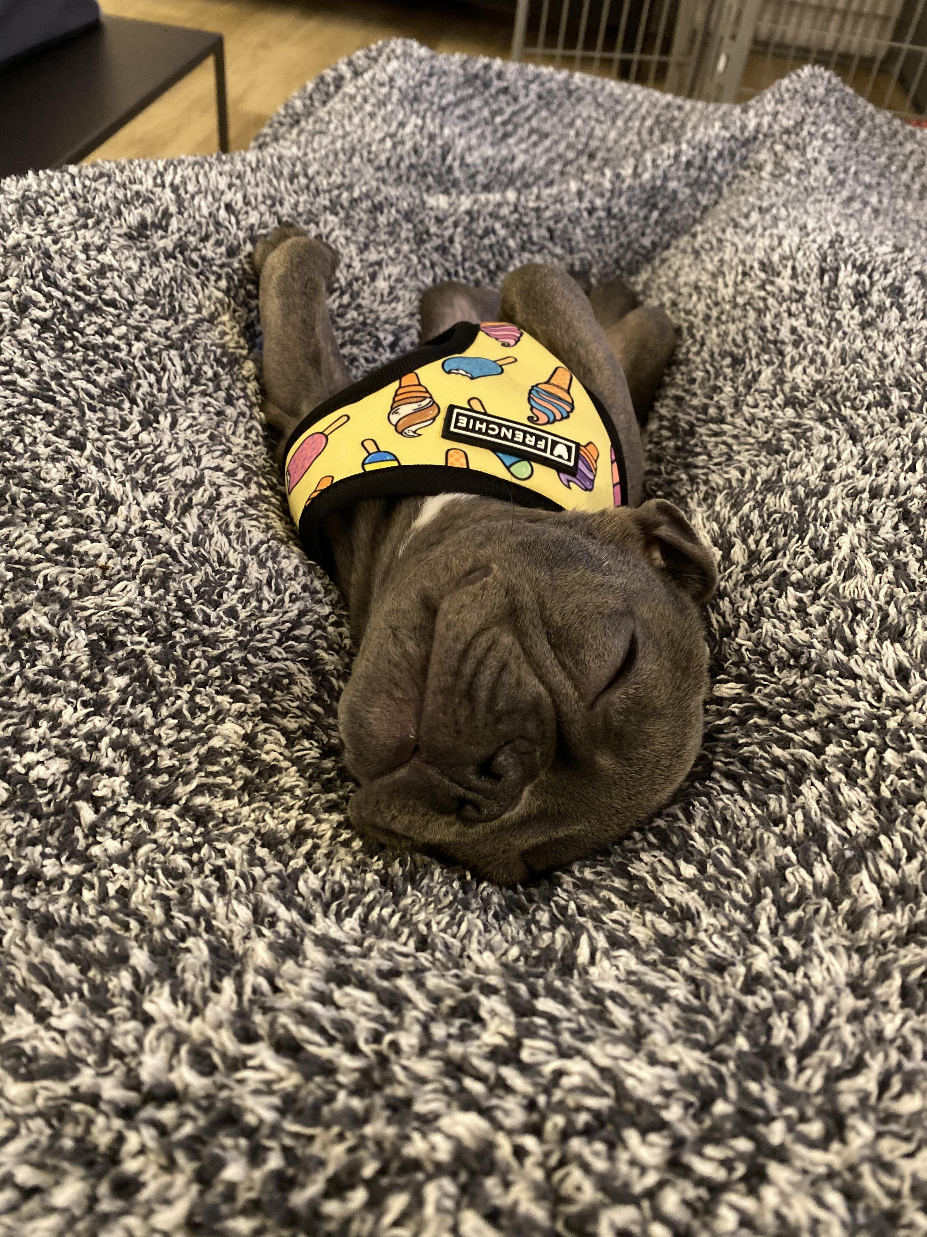 Babies first walk - the aftermath | Scrolller