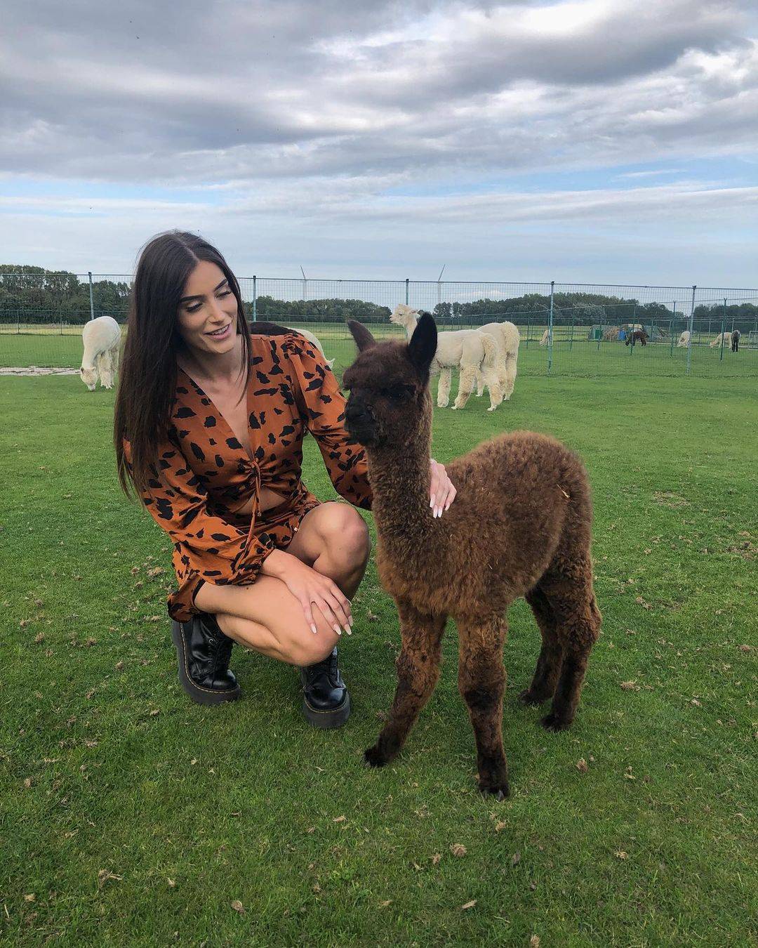 baby lama | Scrolller