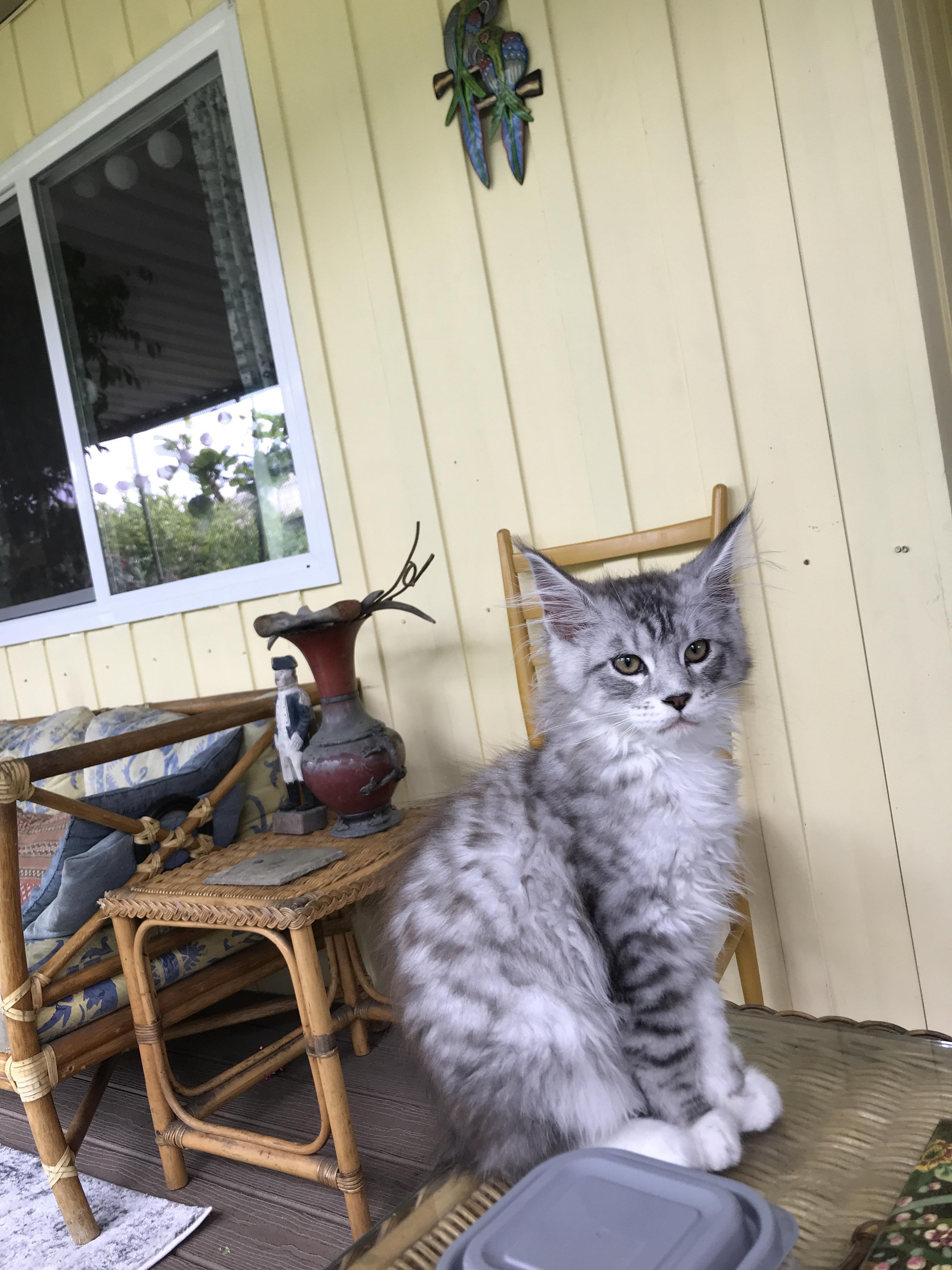 Back from check-up...no forget, no forgive | Scrolller