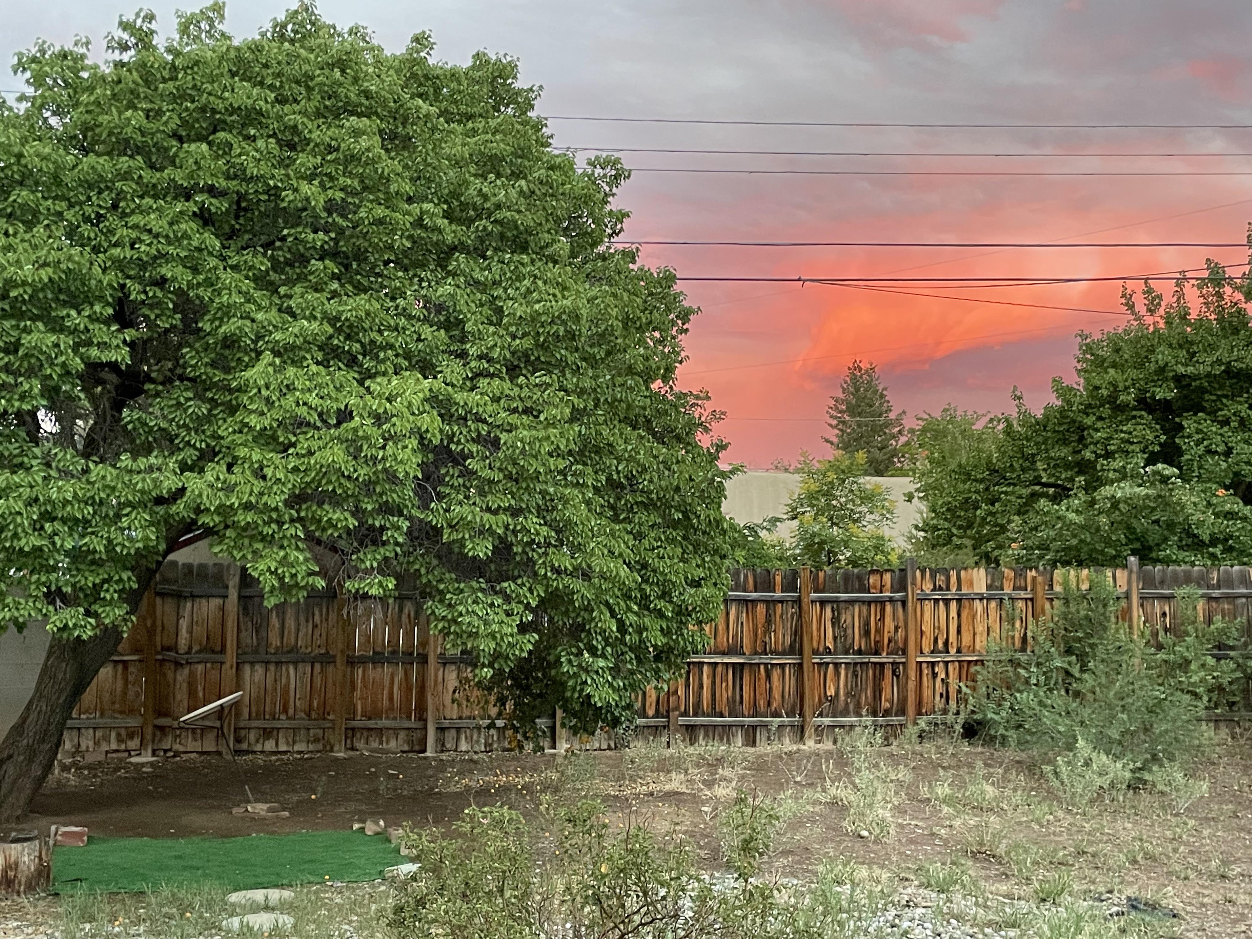Backyard sunset. New Mexico | Scrolller