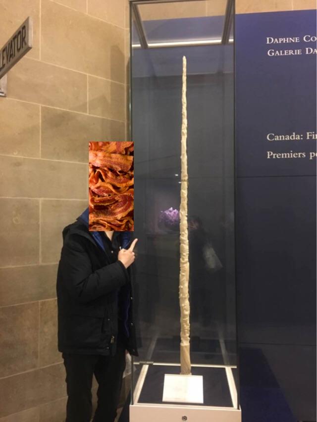 Bacon's first narwhal | Scrolller