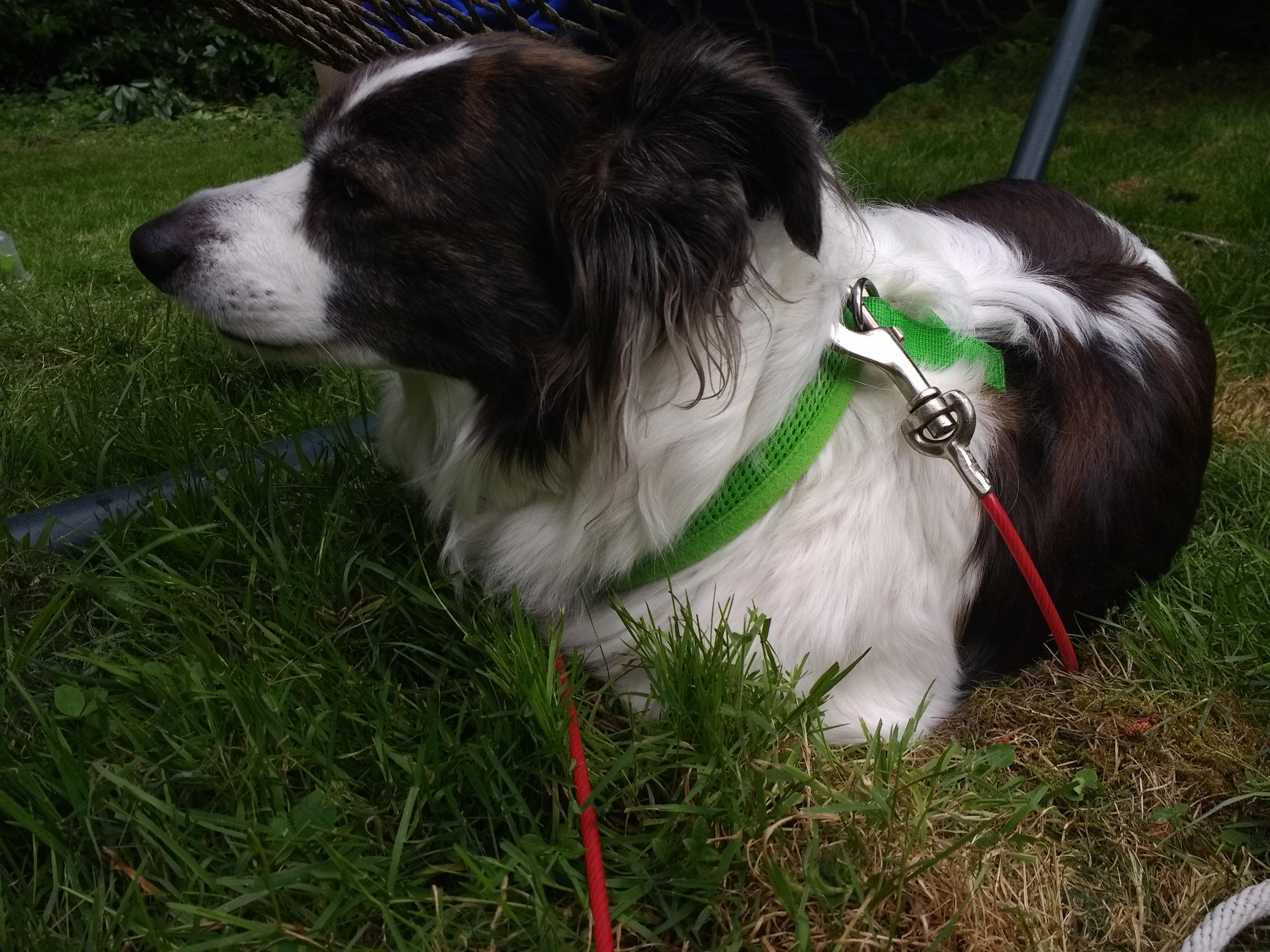 Baking in the sun. | Scrolller